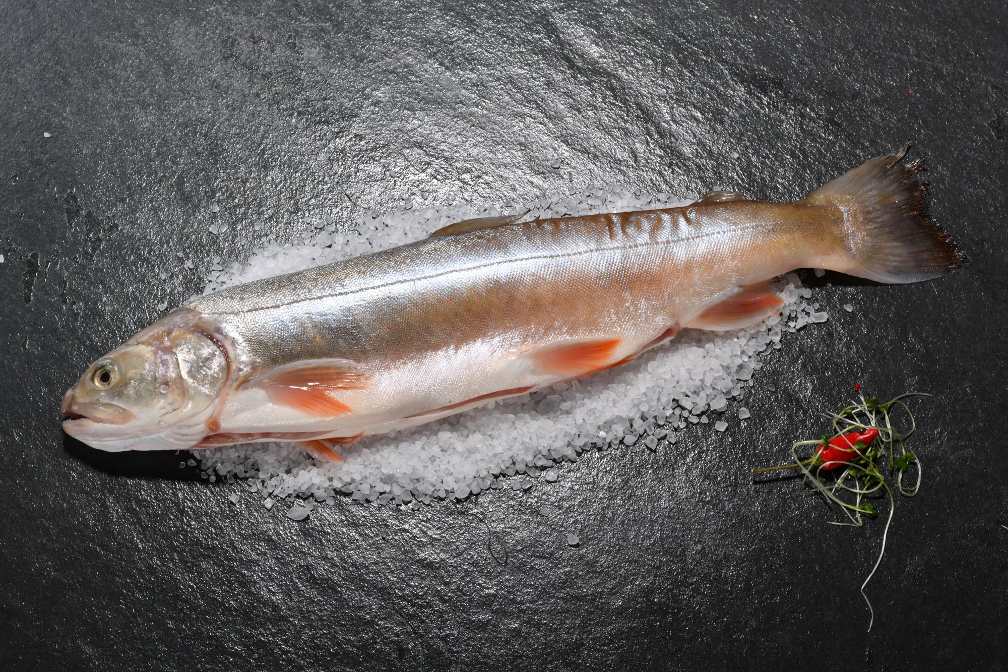 Saibling, frisch, filetiert 200-350 gr. – Fischmanufaktur